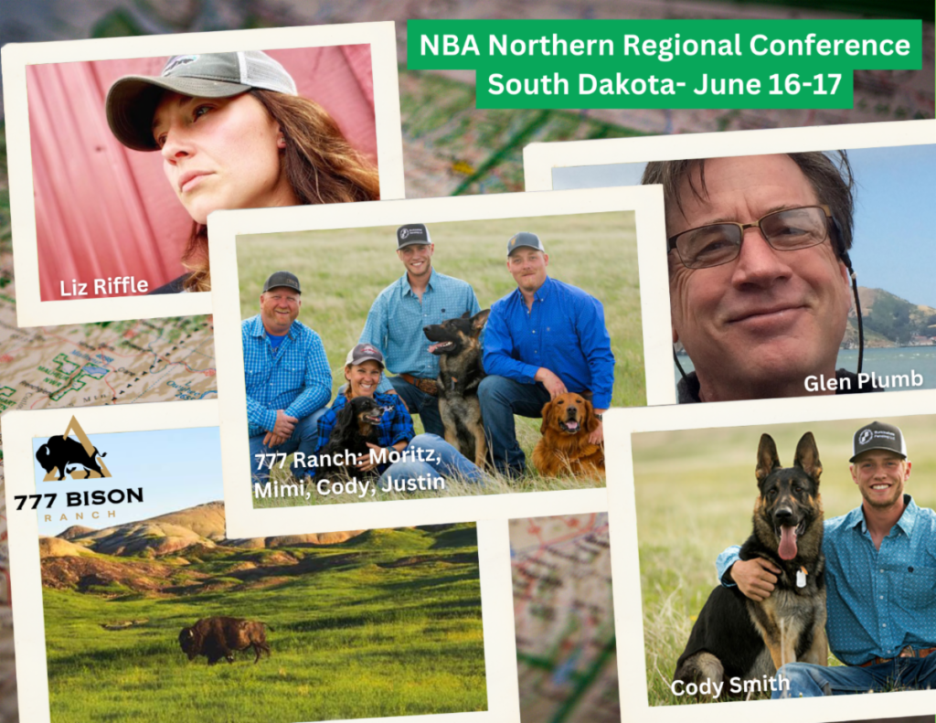 NBA 2023 Northern Summer Conference - Dakota Territory Buffalo Association